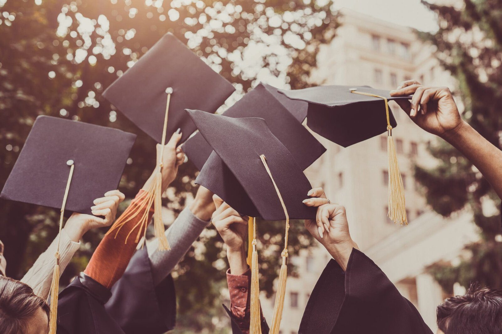 Does Getting a Degree Guarantee a Job? | Developing a Student